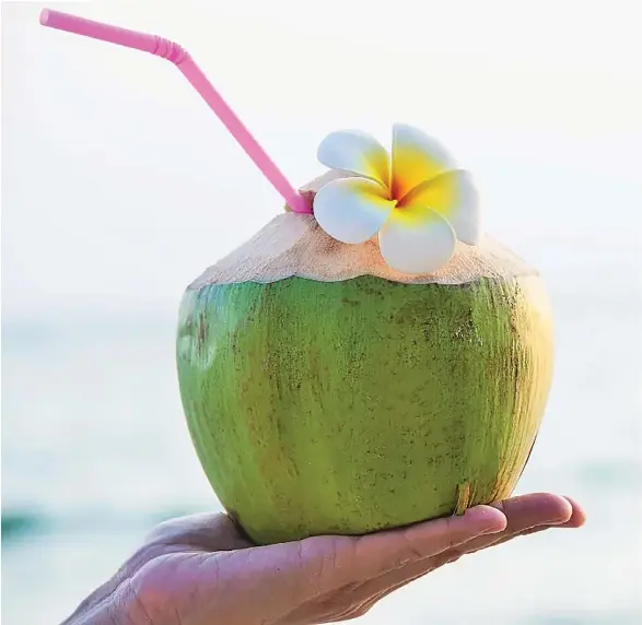 World Coconut Day 2024: significan­ce and celebratio­n - PressReader