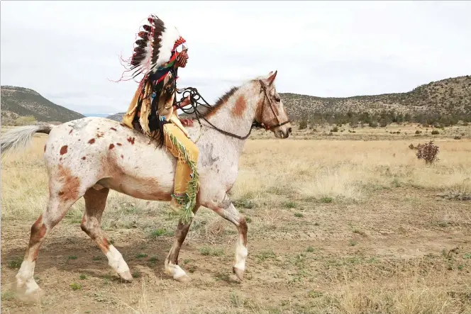 Matter of Light - PressReader