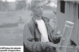 talaandig, other iPs, to benefit from r&D on bamboo musical instrument ...