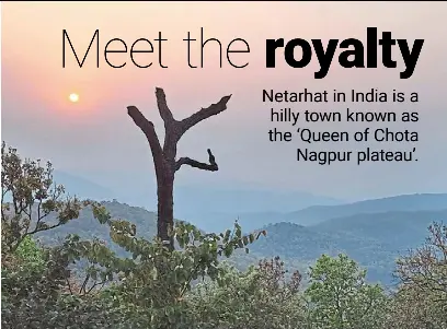 Meet the royalty - PressReader