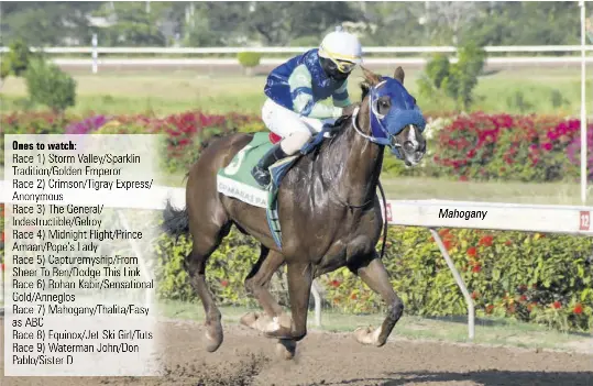 Scales tipped in favour of Parsard rebound - PressReader