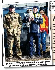 Warm-hearted squaddies bring stray pups in from cold - PressReader