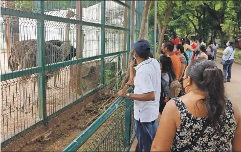 Zoológico atiborrado - PressReader