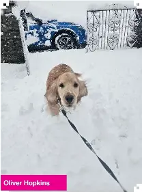 Snow brings disruption – and striking scenes to Pembrokesh­ire - PressReader