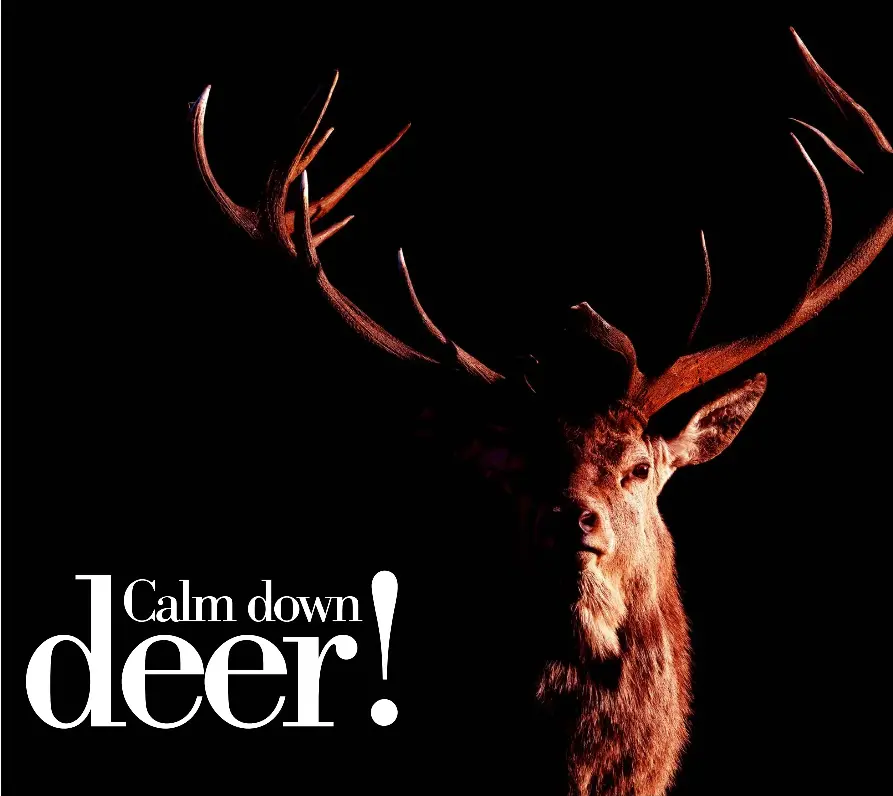 Calm down deer! - PressReader