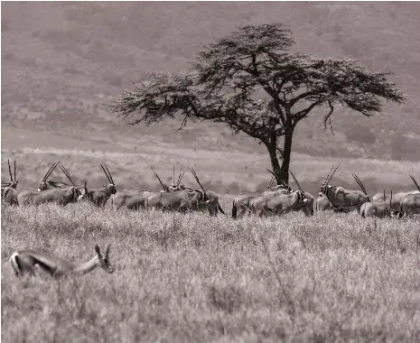 The next 25 years will shape our planet for generation­s - PressReader