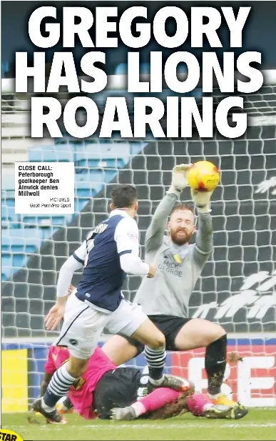 GREGORY HAS LIONS ROARING - PressReader