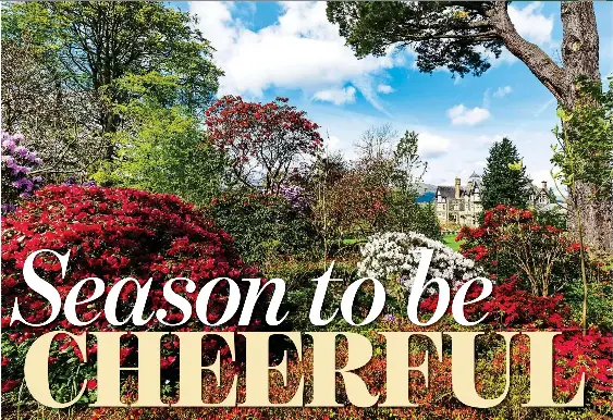 Season to be CHEERFUL - PressReader