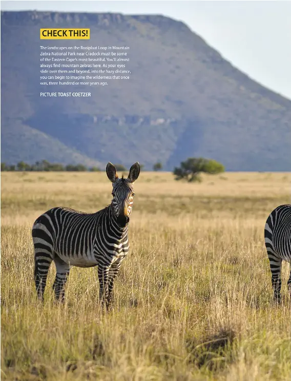 CHECK THIS! - PressReader