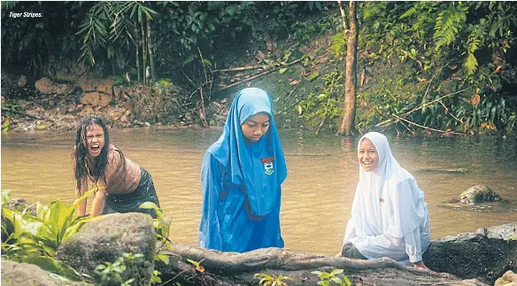 HEAR HER ROAR - PressReader