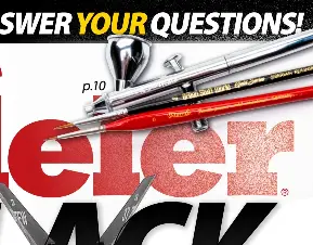 PAINTING SPECIAL: WE ANSWER YOUR QUESTIONS! - PressReader