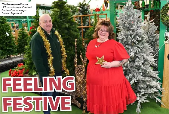 FEELING FESTIVE - PressReader