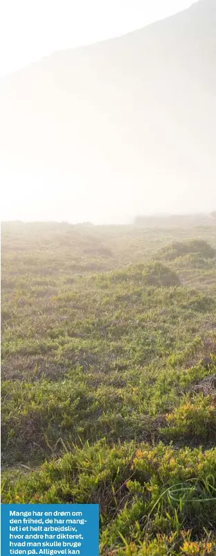 FARVEL TIL ARBEJDSMAR­KEDET GODDAG TIL PENSIONIST­LIVET - PressReader