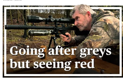 Going after greys but seeing red - PressReader