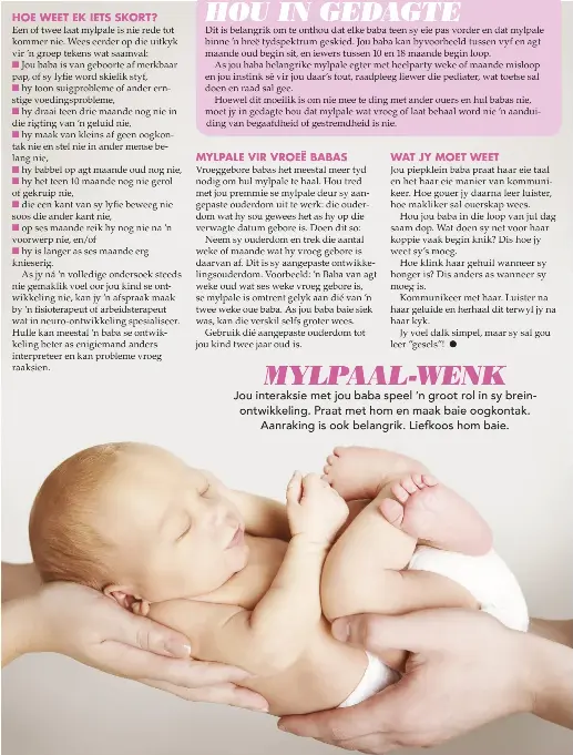 MYLPAAL-WENK - PressReader