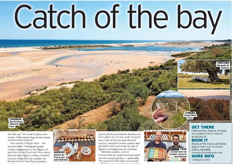 Catch of the bay - PressReader