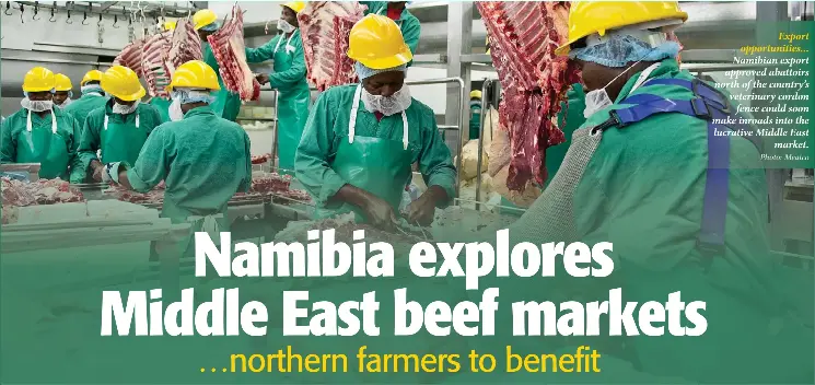 Namibia explores Middle East beef markets - PressReader