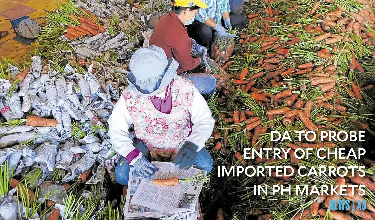 DA TO PROBE ENTRY OF CHEAP IMPORTED CARROTS IN PH MARKETS - PressReader