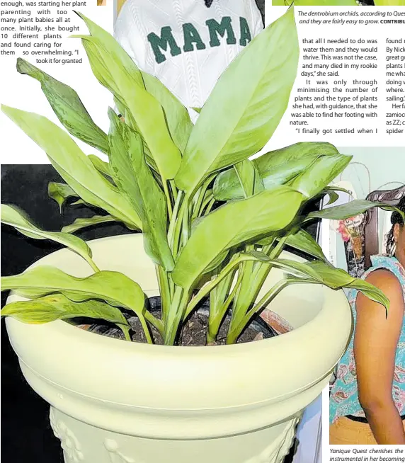 PLANT MOM finds beauty in the midst of tragedy - PressReader