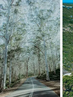 UNDER PRESSURE - PressReader