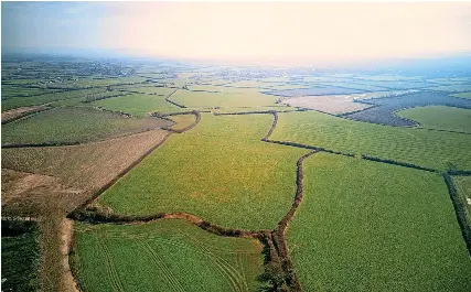 ‘Can’t wait to see nature thrive’ Aardman co-founder helps wildlife ...