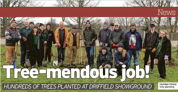 Tree-mendous job! - PressReader