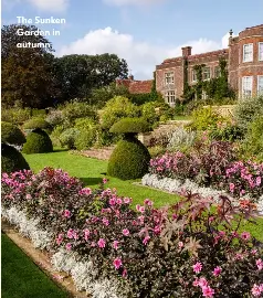 Garden views - PressReader