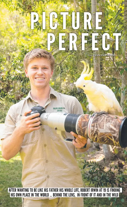 PICTURE PERFECT - PressReader