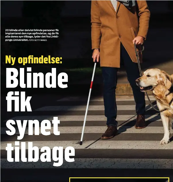 Blinde fik synet tilbage - PressReader