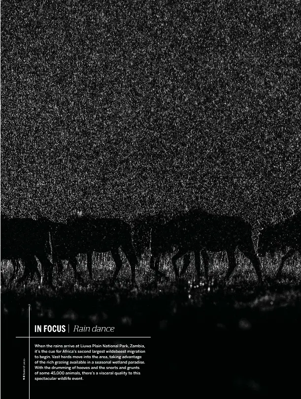 IN FOCUS | Rain dance - PressReader