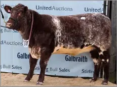 Meonside leads females at 5000gns - PressReader