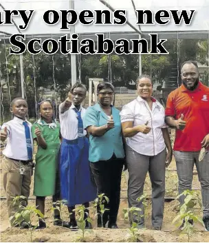 Osborne Store Primary opens new greenhouse gifted by Scotiabank ...