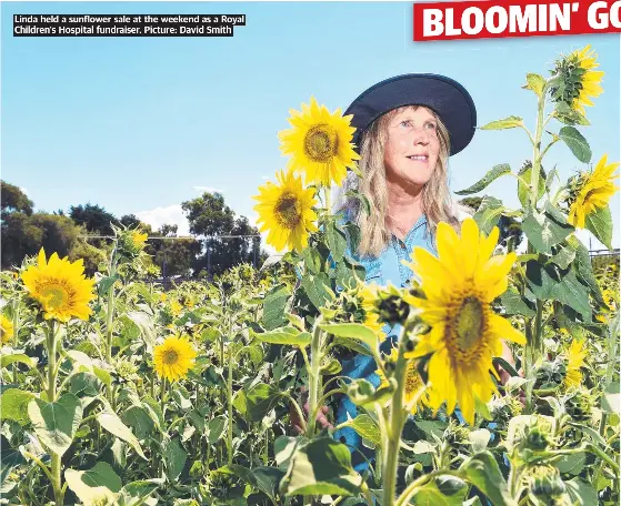 BLOOMIN’ GOOD CAUSE - PressReader