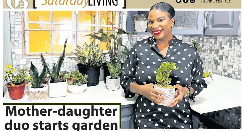 Mother-daughter duo starts garden box business - PressReader
