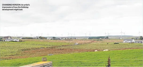 Rare wildlife at risk from windfarm, ministers told - PressReader