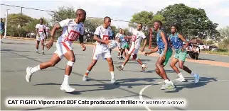 Vipers humble BDF Cats - PressReader