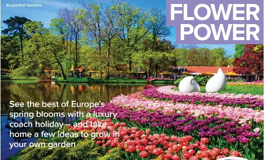 FLOWER POWER - PressReader