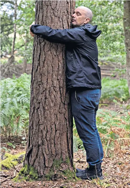 Embrace the healing effect of forest bathing - PressReader