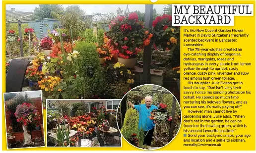 MY BEAUTIFUL BACKYARD - PressReader