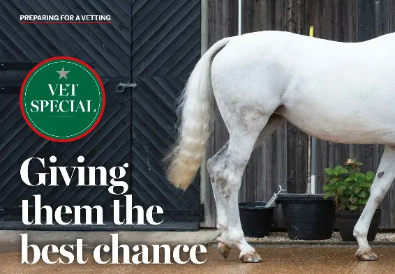 Giving them the best chance - PressReader