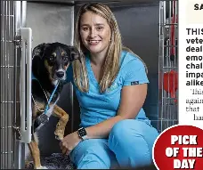 PETS IN NEED... Vets under pressure in show - PressReader