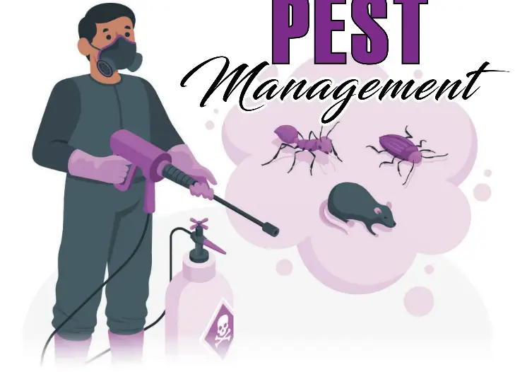 Tackling Pest Management: A Vital Aspect of Jamaican Living - PressReader