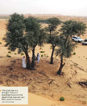 WHY UAE’S GHAF IS SYMBOL OF TOLERANCE - PressReader