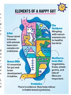 ELEMENTS OF A HAPPY GUT - PressReader