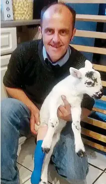 Lamb saved from the chop...by a butcher! - PressReader