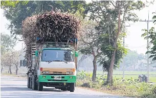 Farmers call for higher sugar cane price - PressReader
