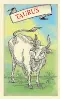 ON THE CARDS | DT Next | PressReade­r