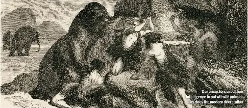 Stalking Diary - PressReader