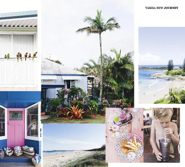 Yamba revival: a childhood holiday hotspot’s comeback - PressReader