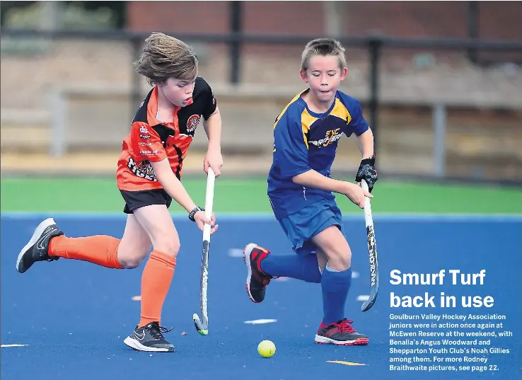 Smurf Turf back in use - PressReader